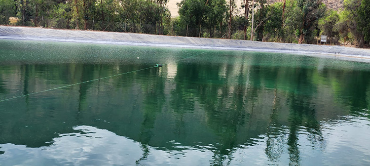 Algae Control Systems